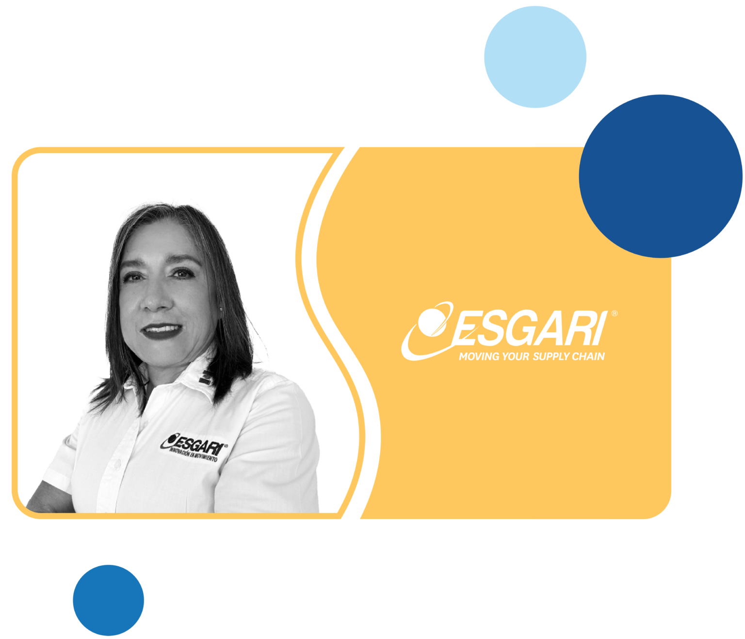 ESGARI HOLDING - Guardia Consultores