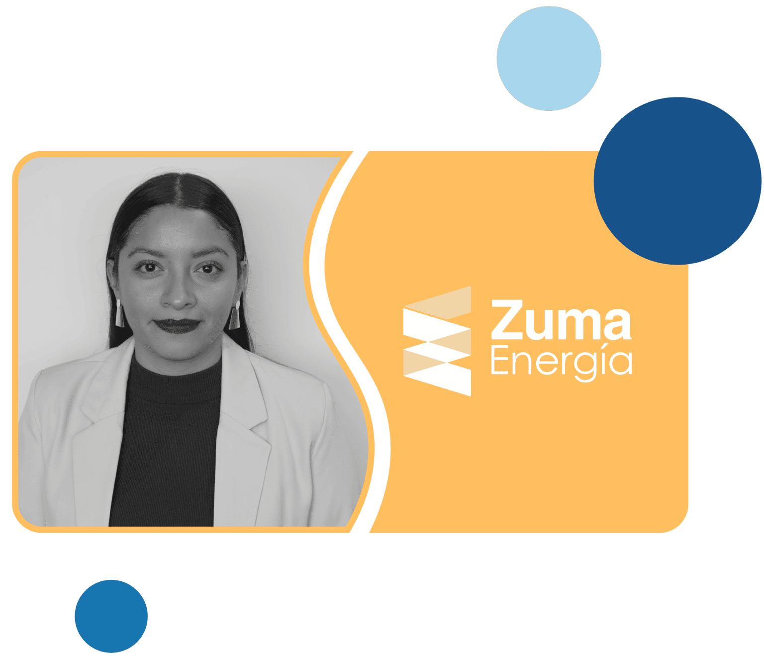 SPIC-Zuma Energía - Guardia Consultores
